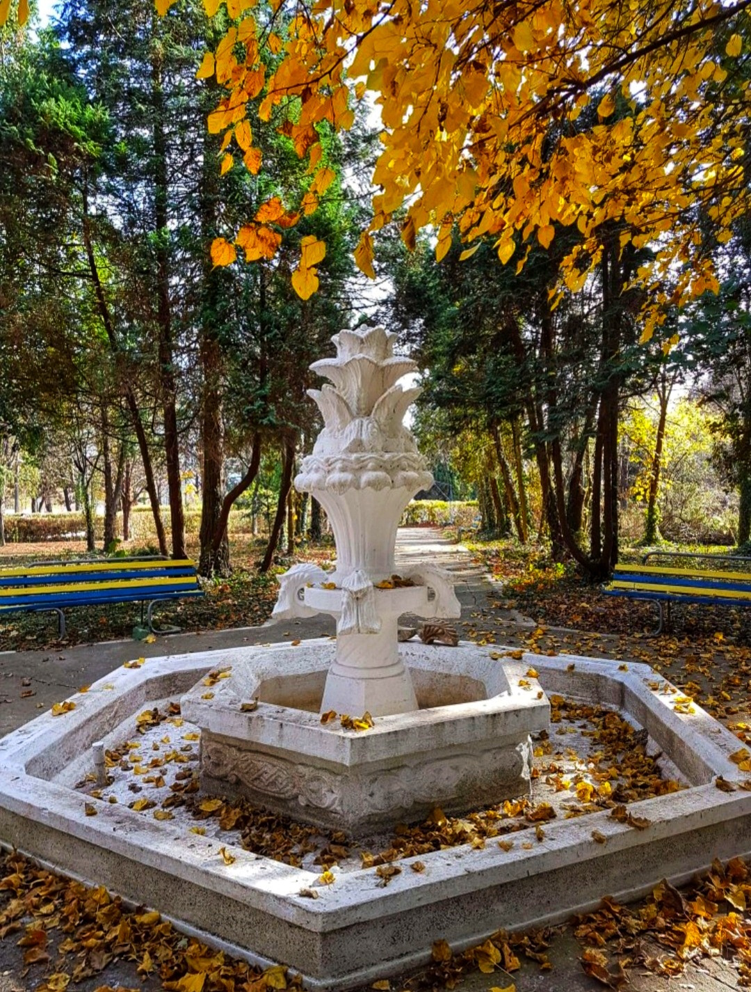 Despre noi – Baile Calacea